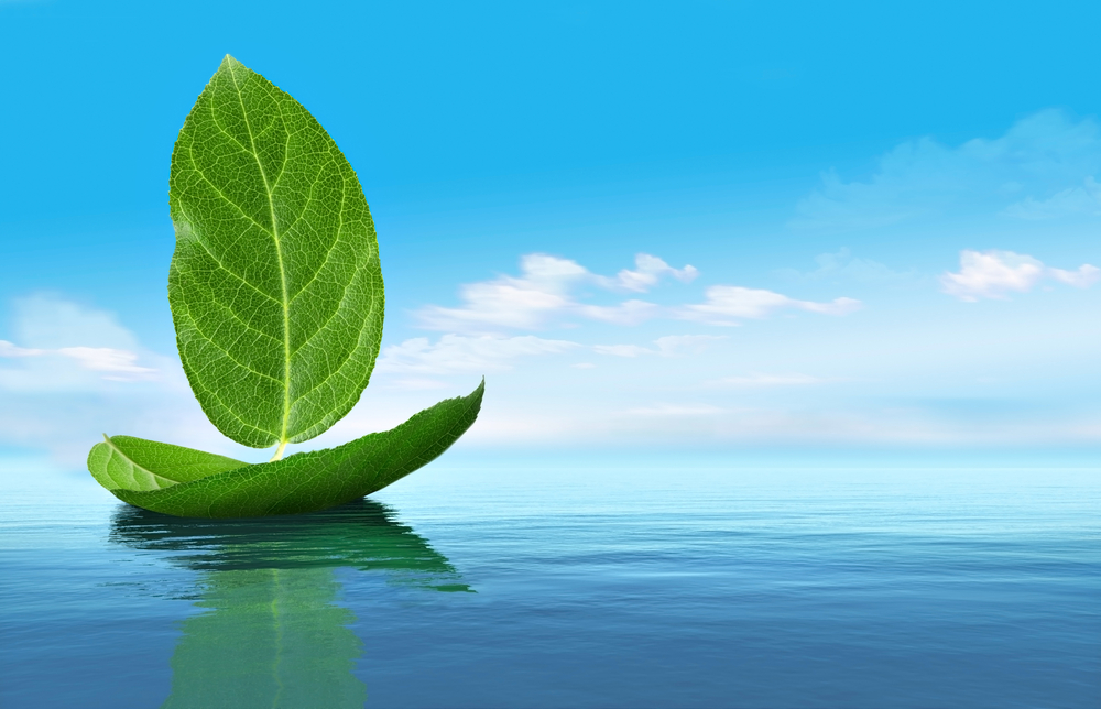 green vessel – Maritime CleanTech