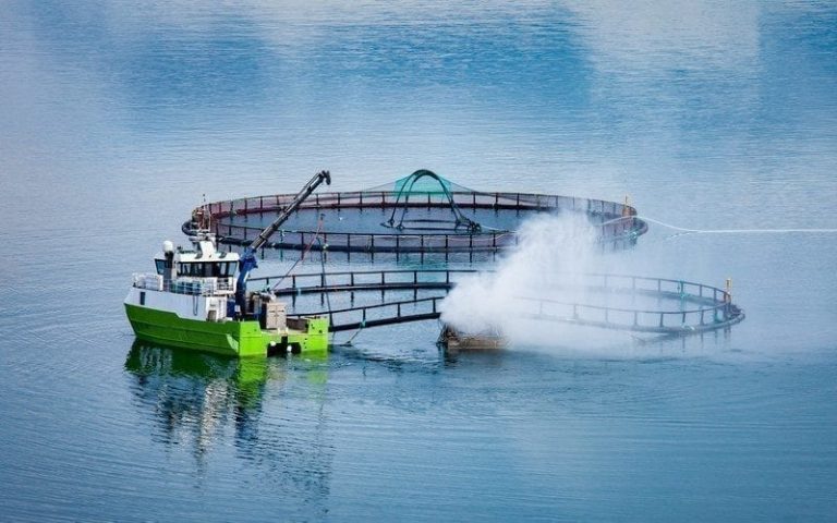 One step closer to green off-grid fish farms – Maritime CleanTech